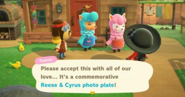 ACNH | Reese & Cyrus Photo Plate - How To Get | Animal Crossing - GameWith