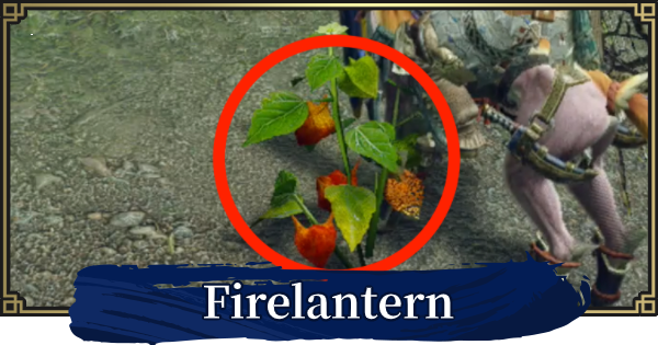 MH Rise | Firelantern - How To Get | MONSTER HUNTER RISE (MHR) - GameWith