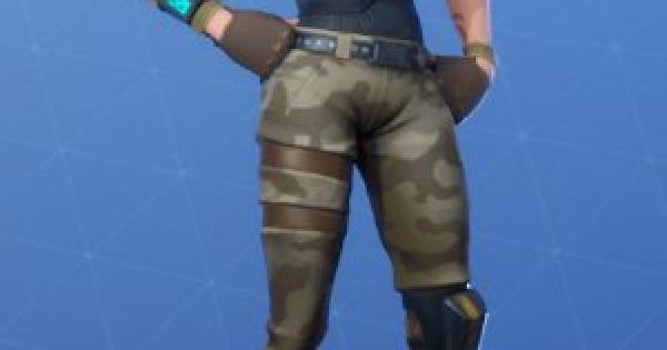 Fortnite | DESERT DOMINATOR Skin - Set & Styles - GameWith