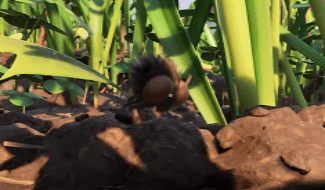 Grounded | Stuffed Gnat - Location & Ingredients - GameWith