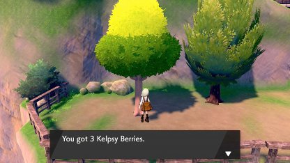 Kelpsy Berry - How To Get | Pokemon Sword Shield - GameWith