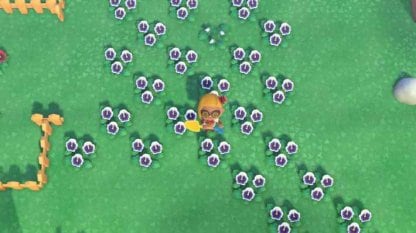 ACNH | Purple Pansy - How to Get & Breed | Animal Crossing - GameWith