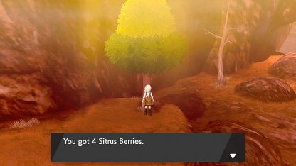 Sitrus Berry - How To Get | Pokemon Sword Shield - GameWith