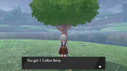 Colbur Berry - How To Get | Pokemon Sword Shield - GameWith