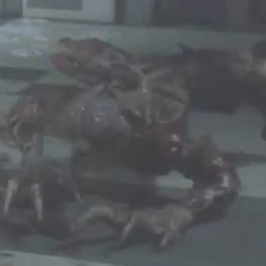 RE3 Remake | All Enemies (Monsters) List & How To Beat | Resident Evil ...