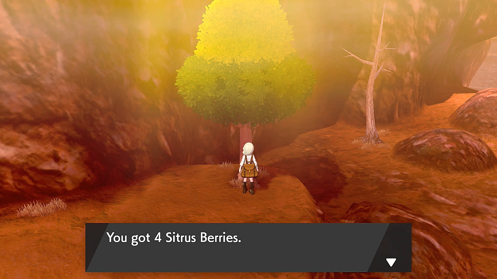 Sitrus Berry How To Get Pokemon Sword Shield Gamewith