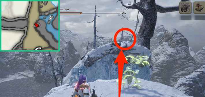 MH Rise | Relic Records - All Map Locations & Rewards | MONSTER HUNTER ...