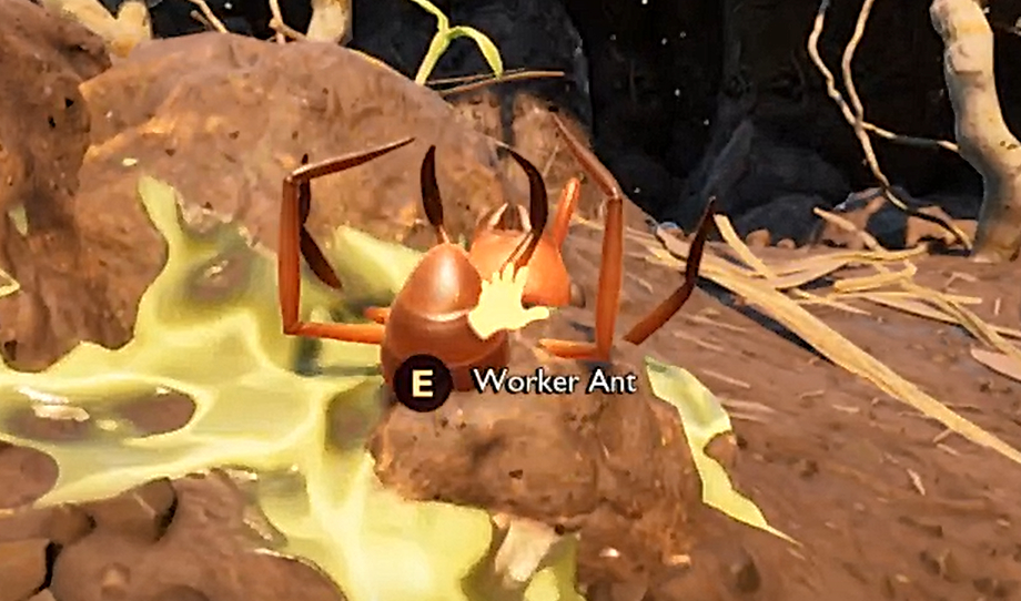 Grounded Soldier Ants Location Strategy And How To Get An