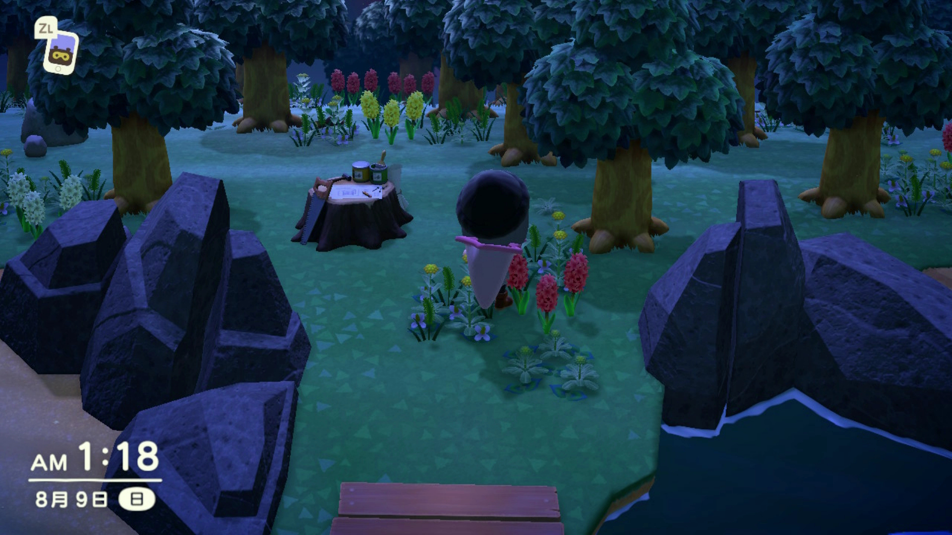 How To Get Rare Mystery Islands Acnh at Opal Forte blog