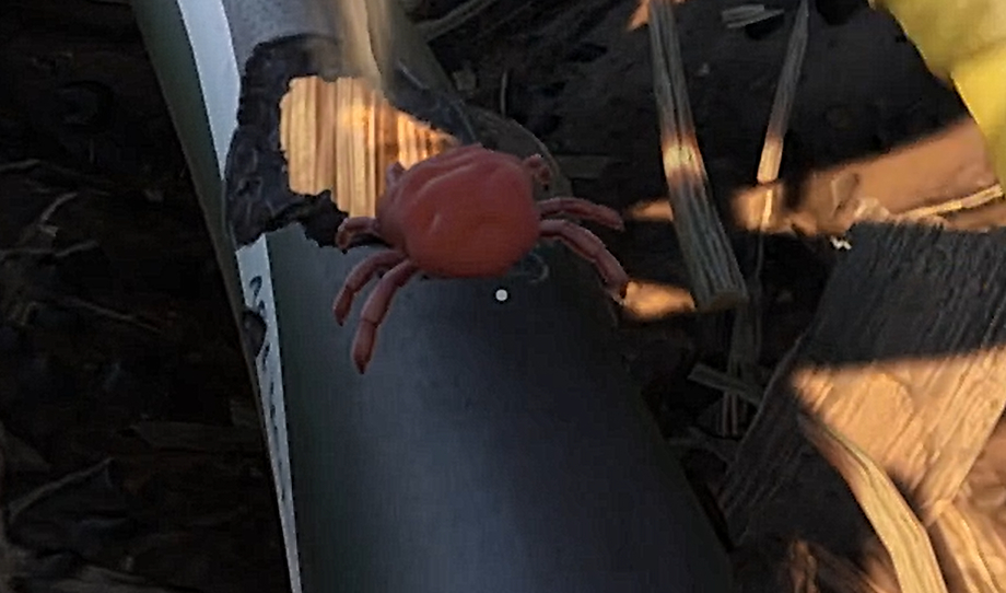 Grounded | Mite Fuzz - How To Get & Ingredients - GameWith