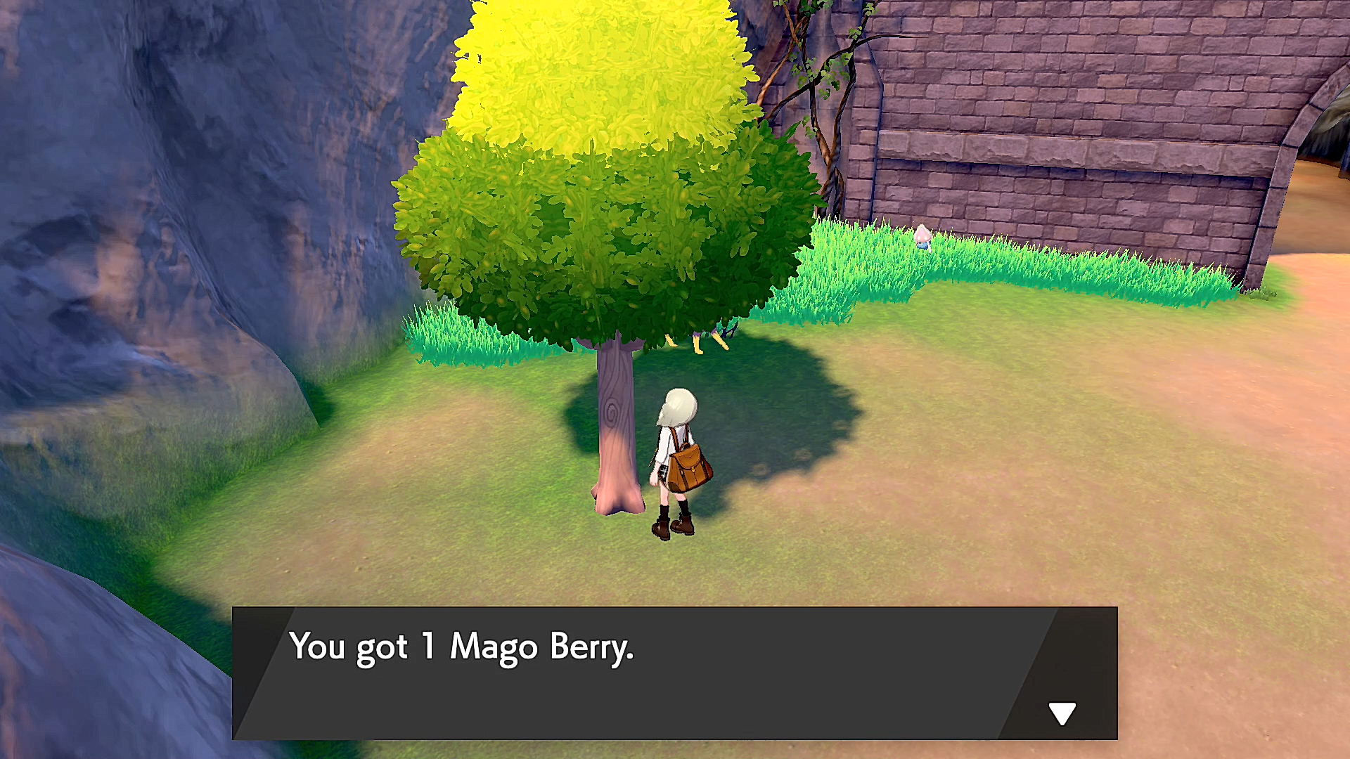 Mago Berry - How To Get | Pokemon Sword Shield - GameWith