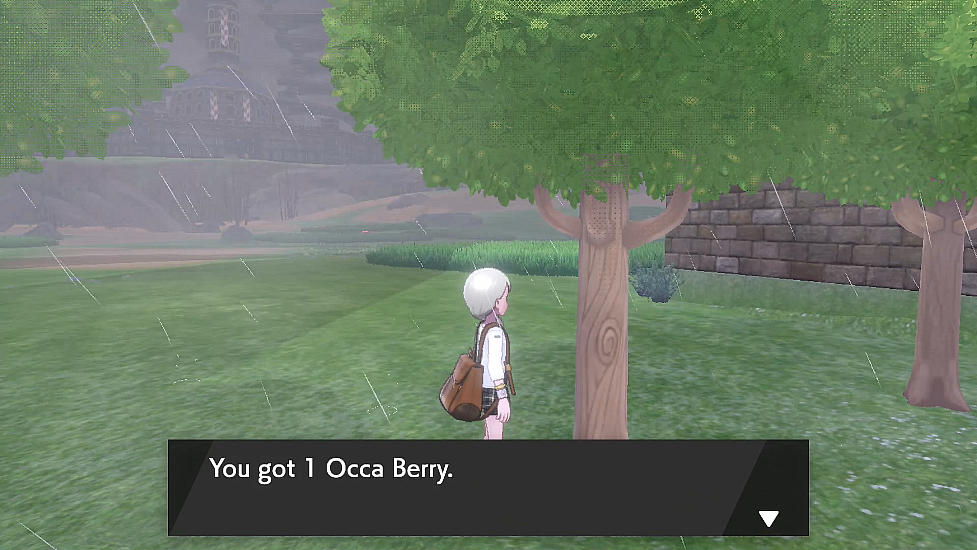 Occa Berry - How To Get | Pokemon Sword Shield - GameWith