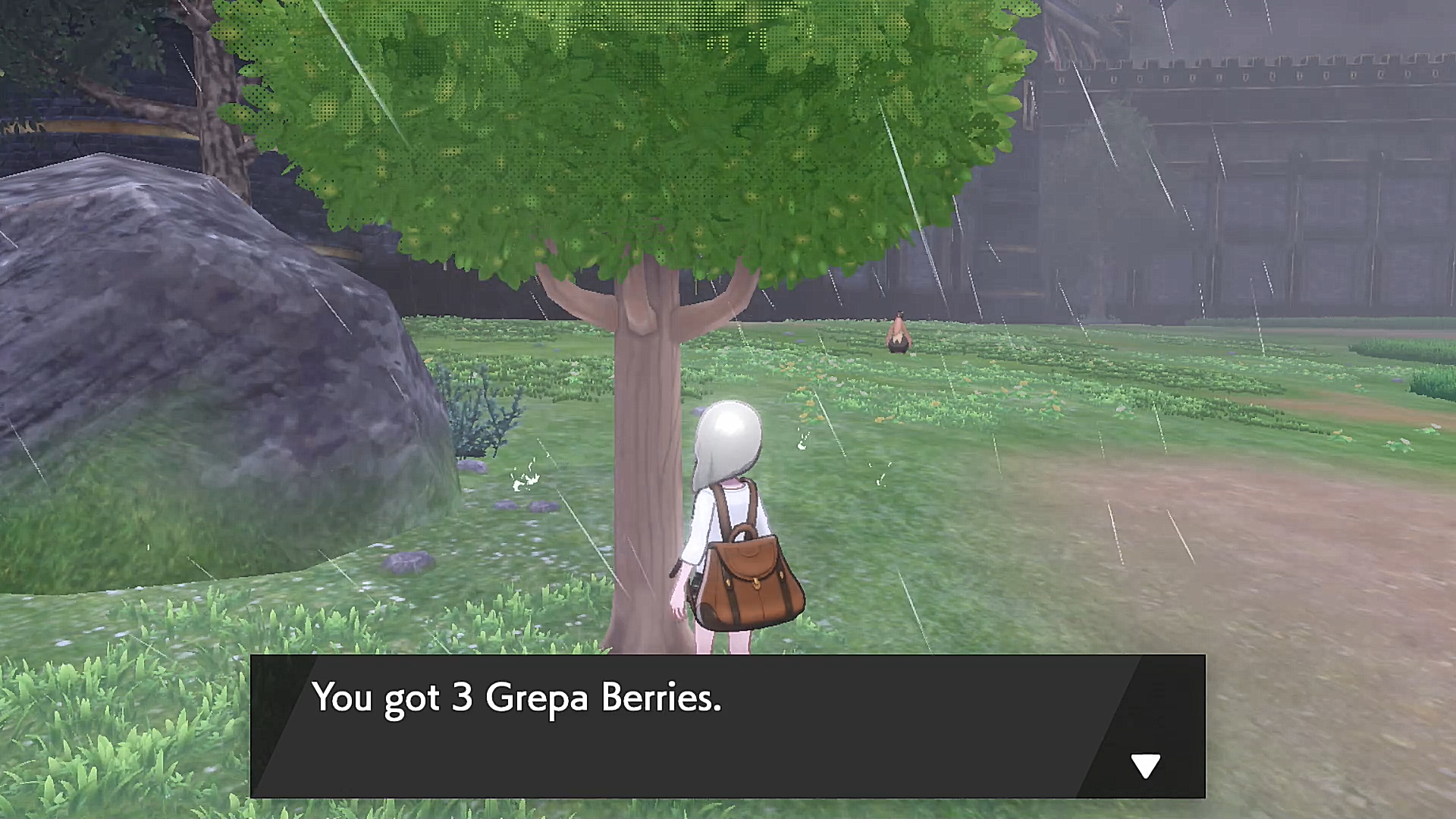 Pokemon Sword Shield | Grepa Berry - How To Get